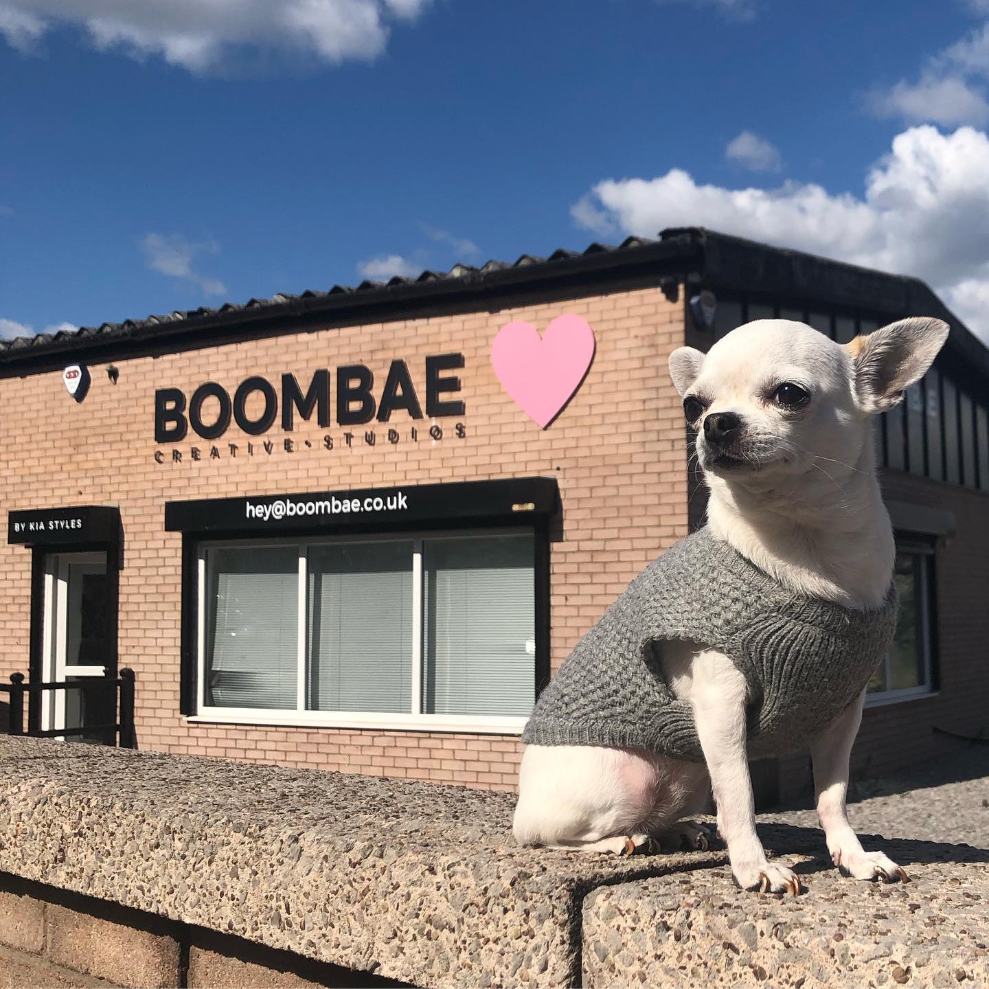About Boombae | Our History In The Industry